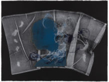 Susan Aldworth: The Dark Self - 2017 festival, The University of York