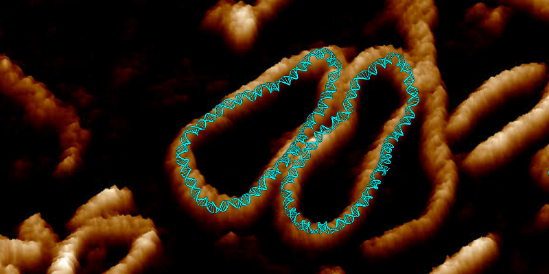 Dancing DNA, York Festival of Ideas