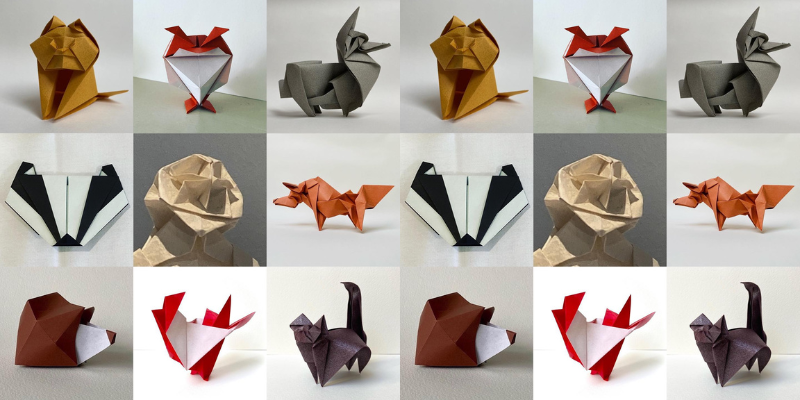 Folding Waves: How teaching, technology and community transformed ...